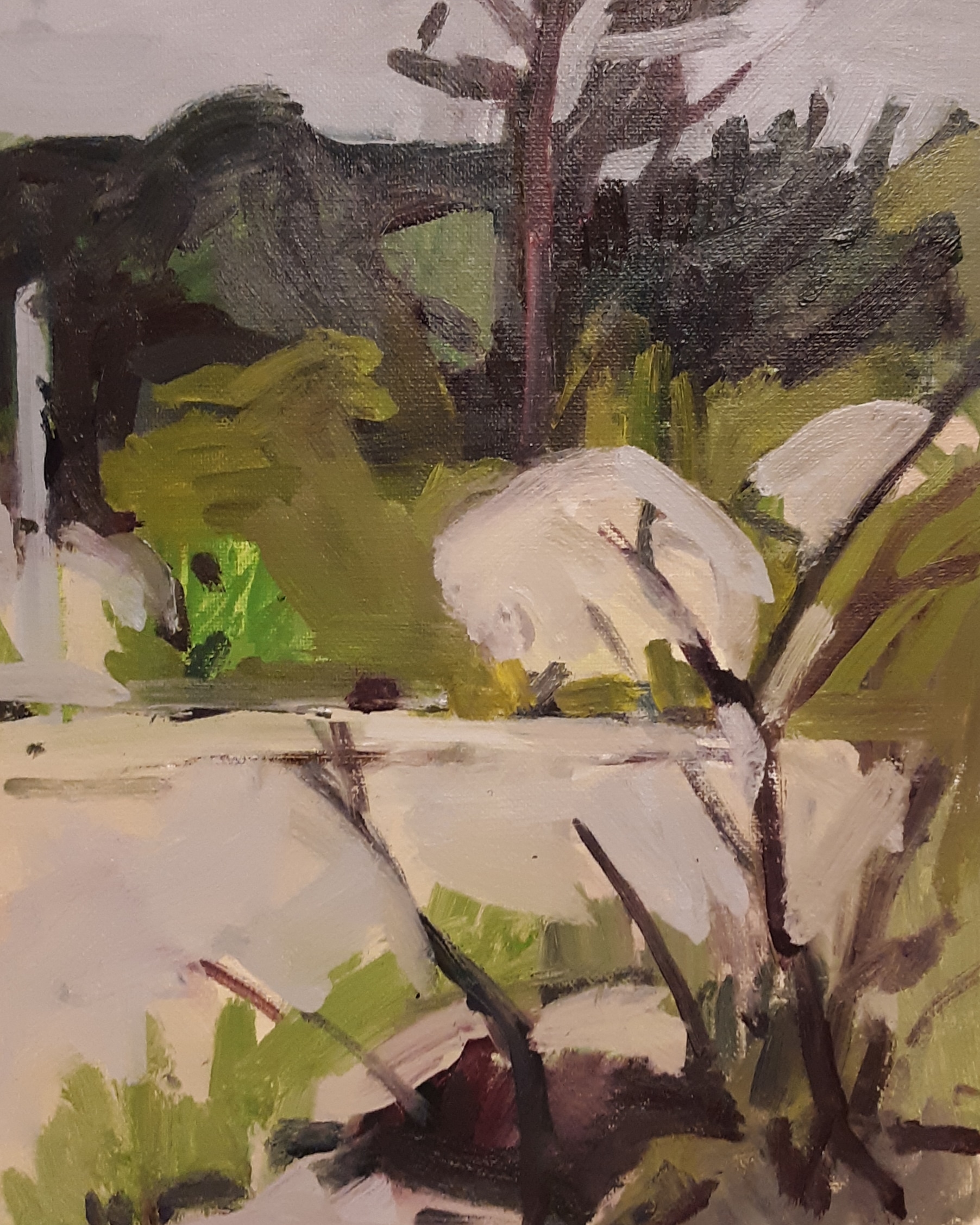 Skaket 2019 – Kim Gagne